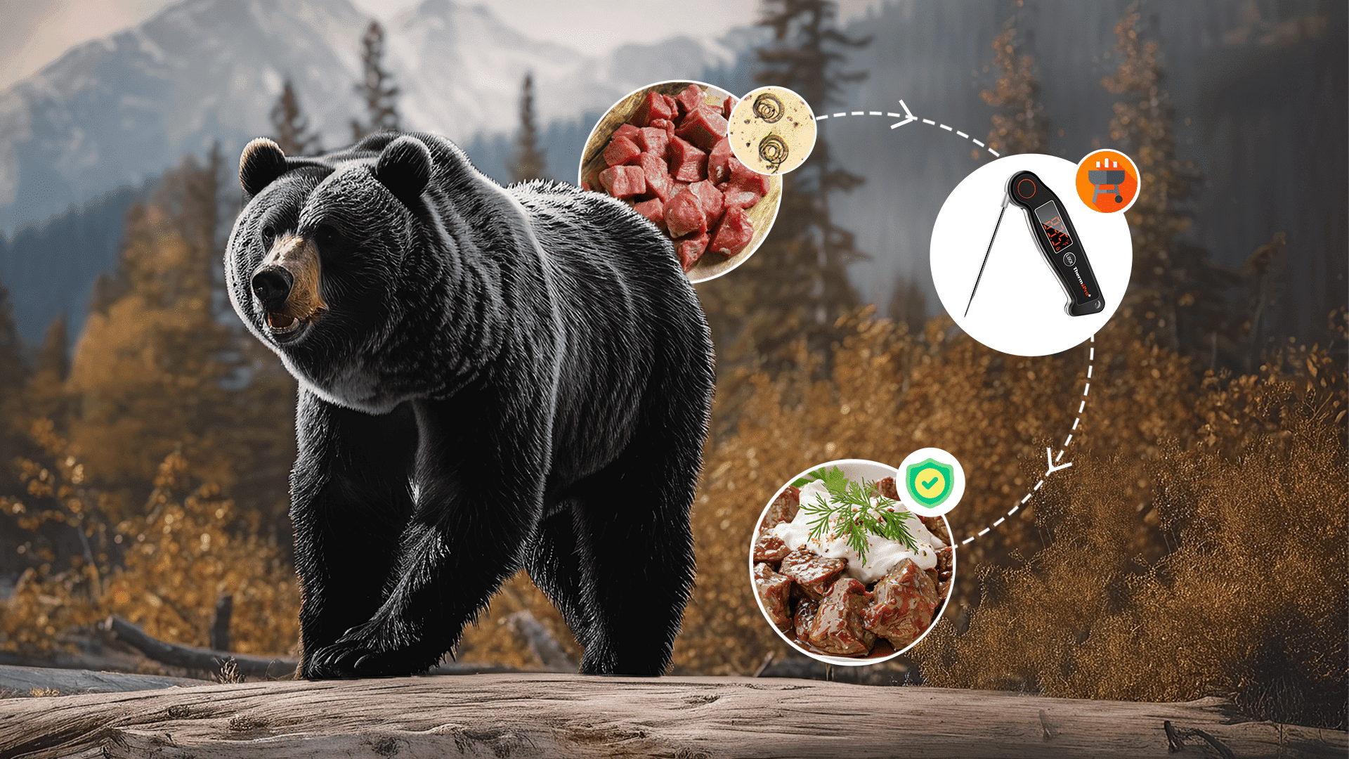 Scary: US Family Gets Brain Worms from Undercooked Bear Meat – ThermoPro