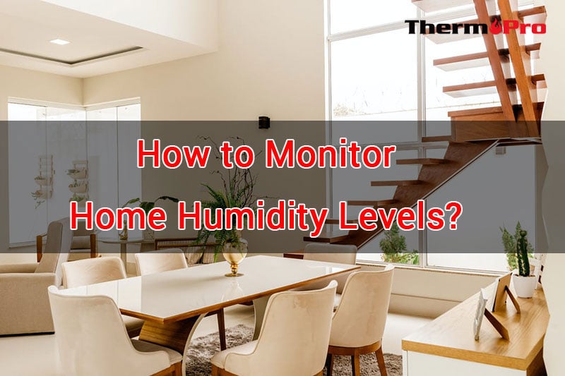 How to Monitor Home Humidity Levels? – ThermoPro
