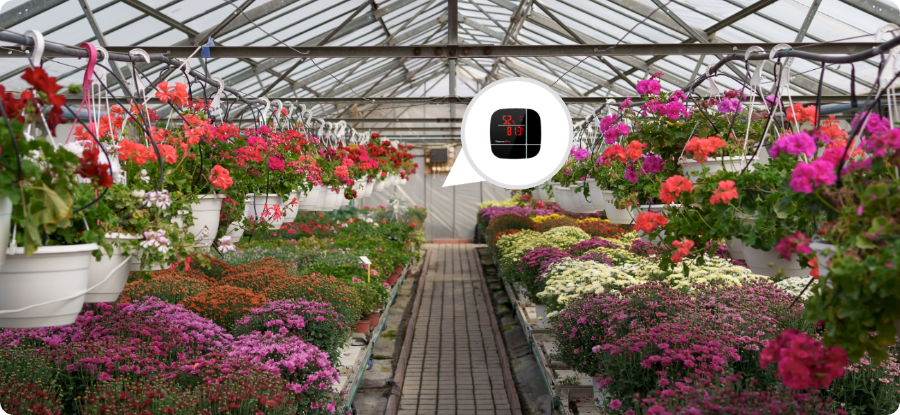 ThermoPro TP90 Wi-Fi Thermometer Hygrometer